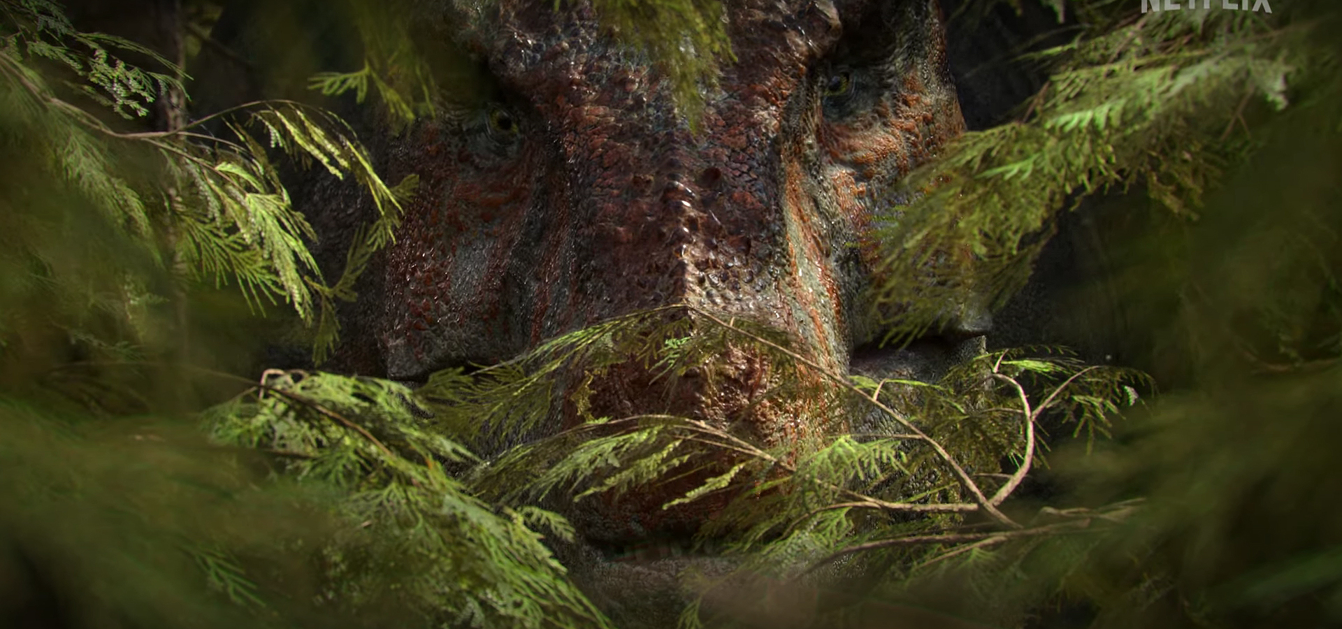 'Life on Our Planet' Trailer Netflix Documentary Explores Life On Earth ...