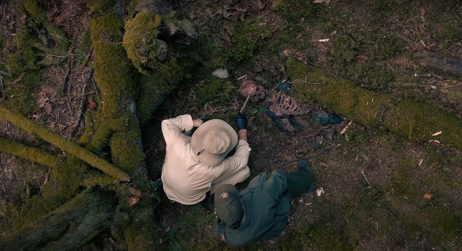 A Murder Mystery in the Wild Netflix's 'Untamed' is Now Streaming