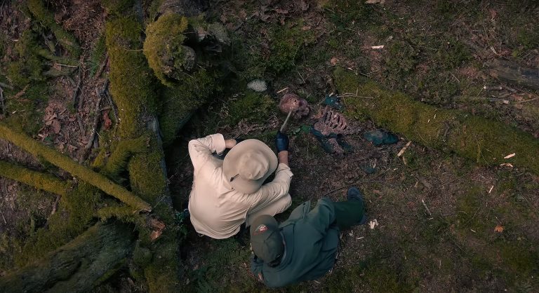 A Murder Mystery in the Wild Netflix's 'Untamed' is Now Streaming